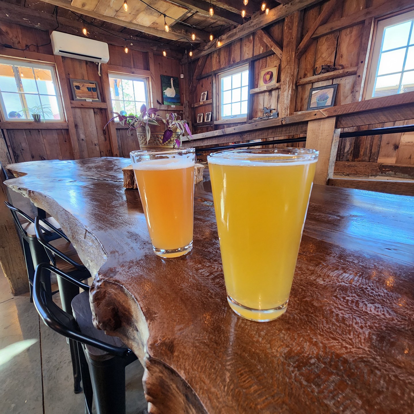 Needle Creek Brewery, Pennington, New Jersey – Mercer County – The New ...
